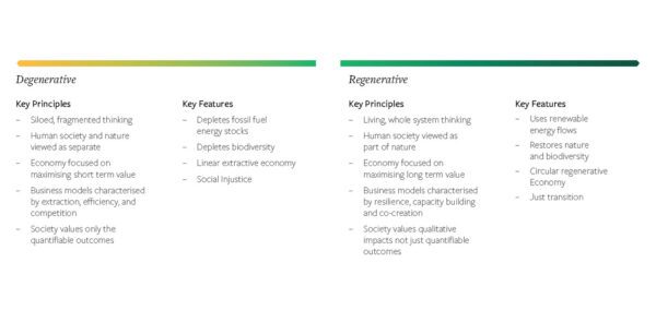 Beyond sustainability: the regenerative future - Useful Projects
